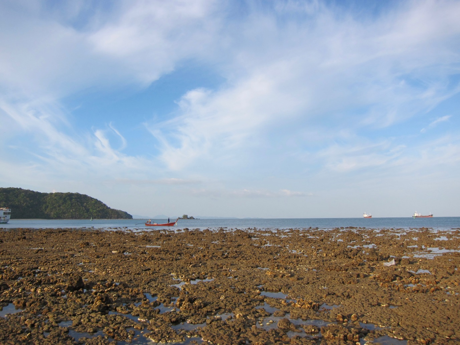 Extreme Corals: Resilience in the world of intertidal reef flats ...