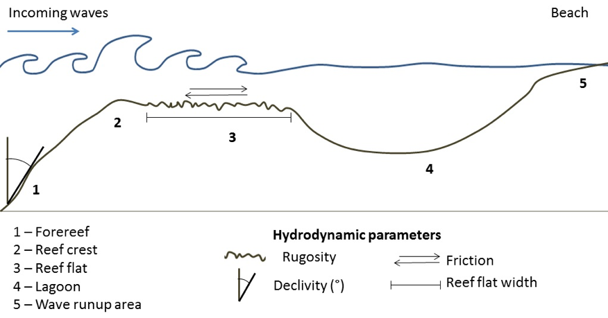 Protective and vulnerable at the same time – Reefbites