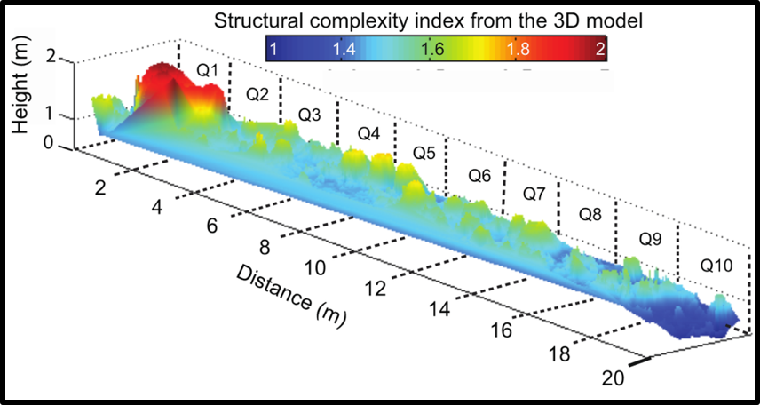 The Small Details are a Big Deal: How 3D Modeling Advances Our ...