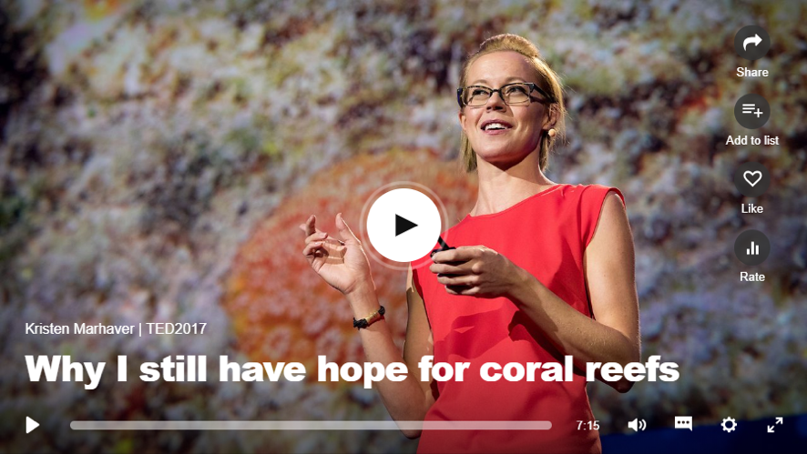 5 TED talks on coral reefs that will wow you in less than 15 minute ...