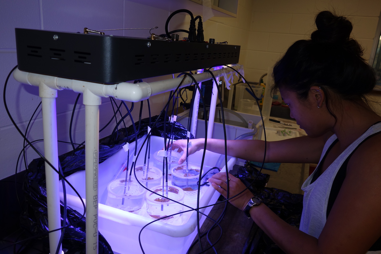 Feature Friday: Maureen Ho – Reefbites