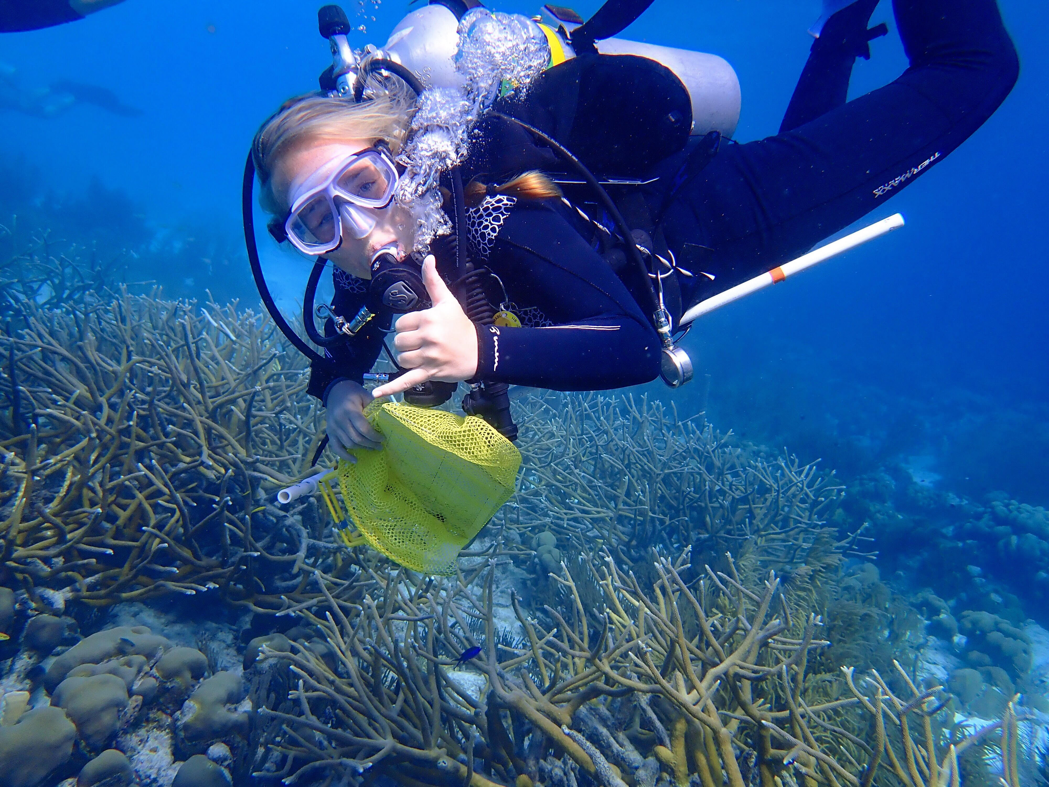 Feature Friday: Casey Harris – Reefbites