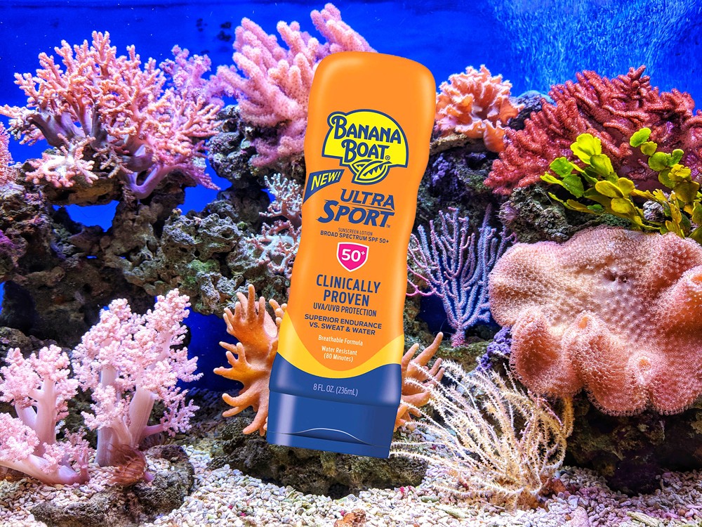 Sunscreen ban: coral reefs and oxybenzone – Reefbites