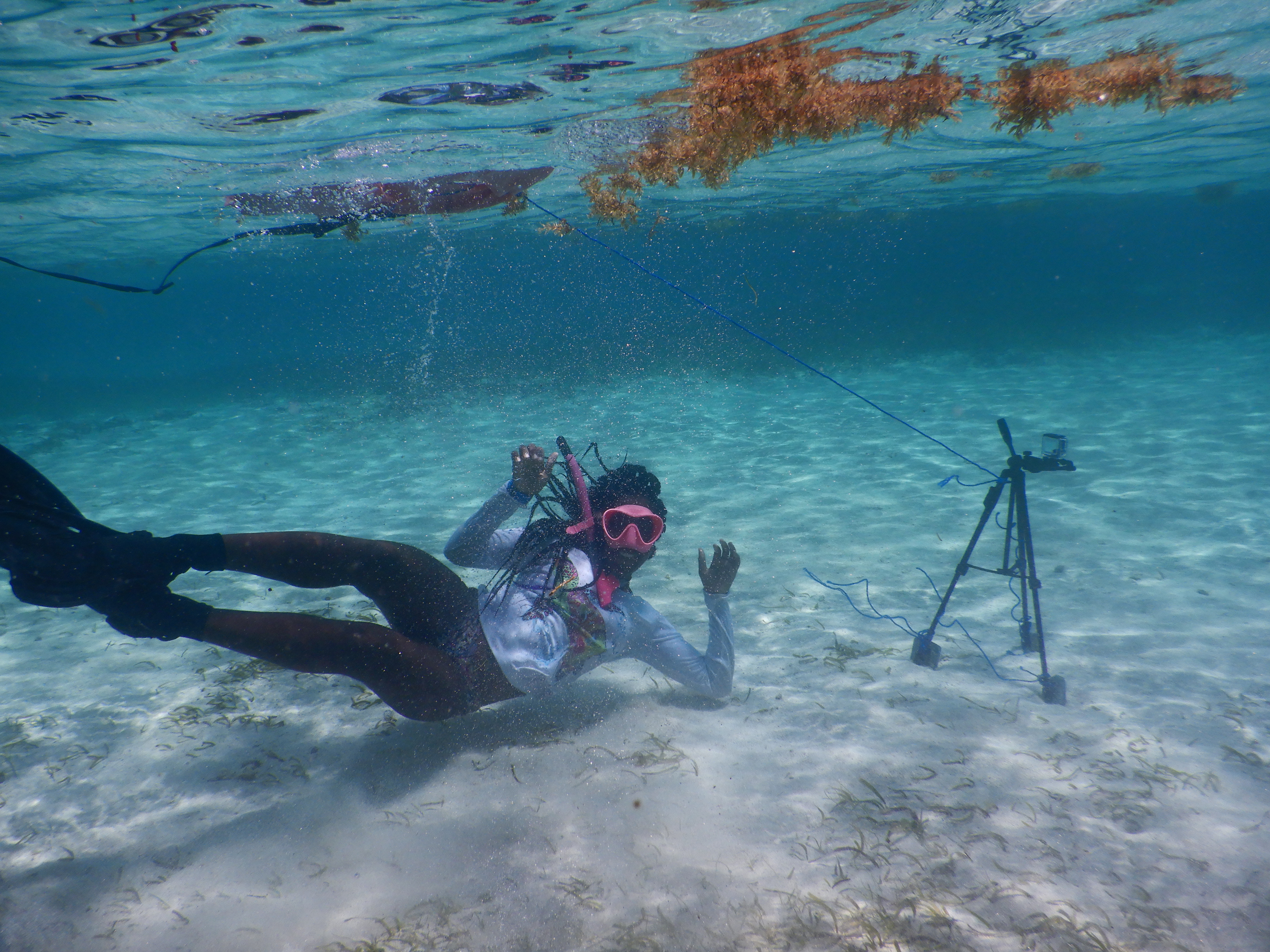 Feature Friday: Carlee Jackson – Reefbites