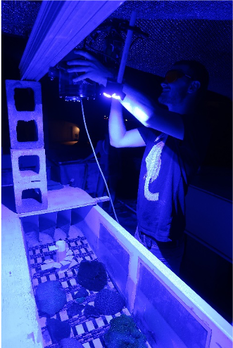 Feature Friday: Jonathan Teague – Reefbites