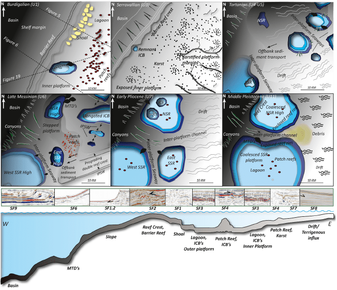 The 20-Million-year-old reefs in North Western Australia – Reefbites
